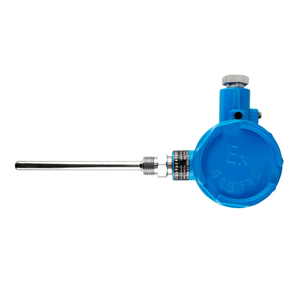 FRT12 Series Explosion-Proof Temperature Sensor-Heatwise SDN BHD